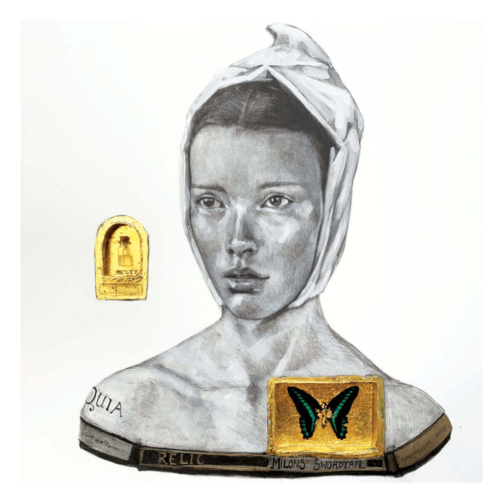 Gill Walton VPSSA VAS – Contemporary visual artist