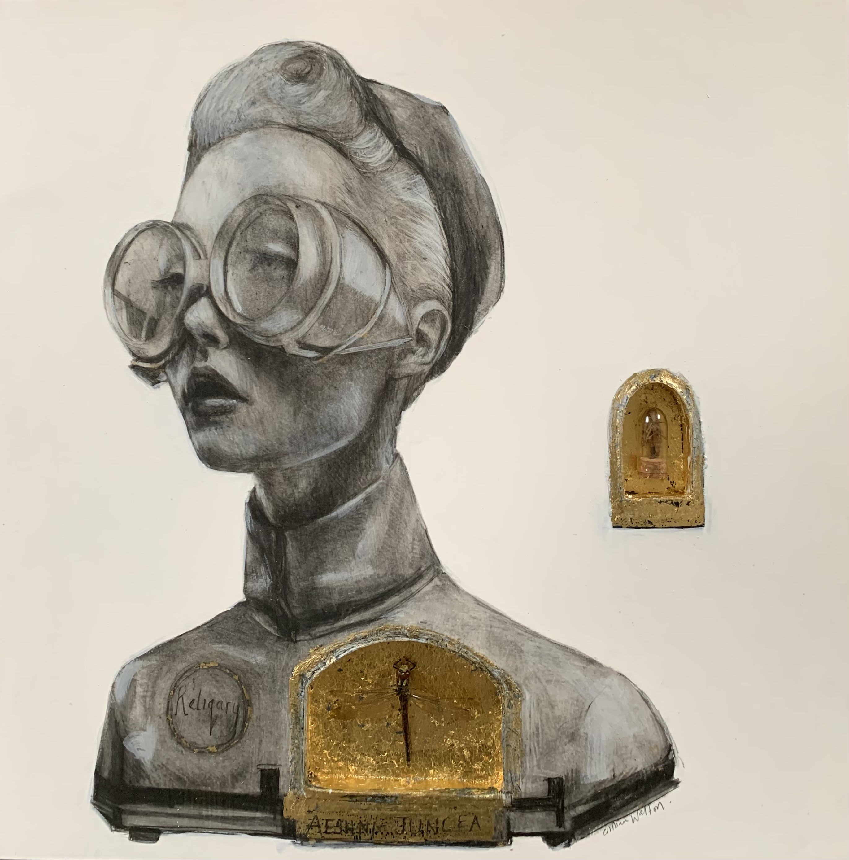 Gill Walton VPSSA VAS – Contemporary visual artist