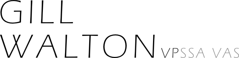 Gill Walton VPSSA VAS – Contemporary visual artist